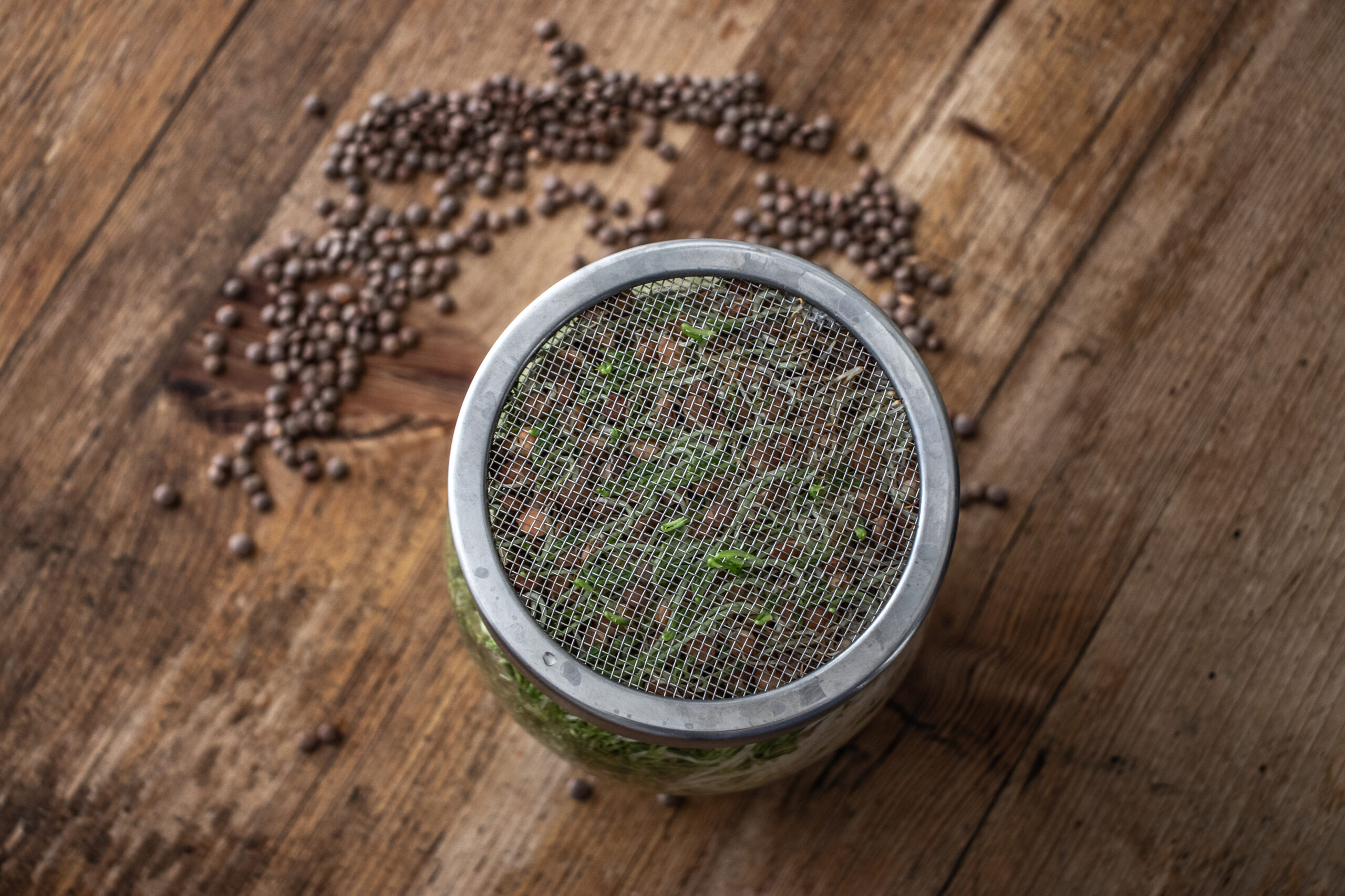 Fotky v tiskové kvalitě – Klíčení semen a microgreens – Kompostuj