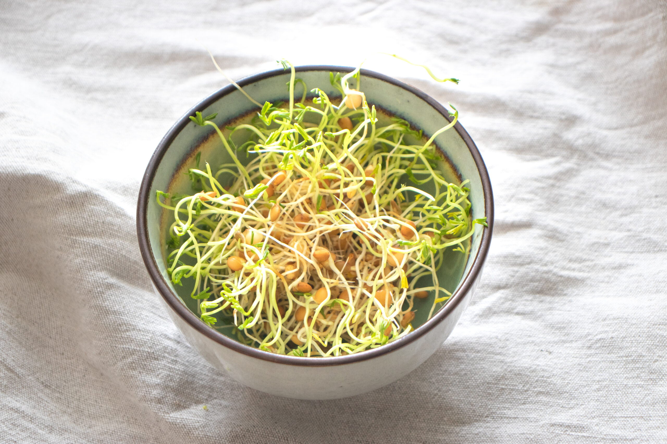 Fotky v tiskové kvalitě – Klíčení semen a microgreens – Kompostuj